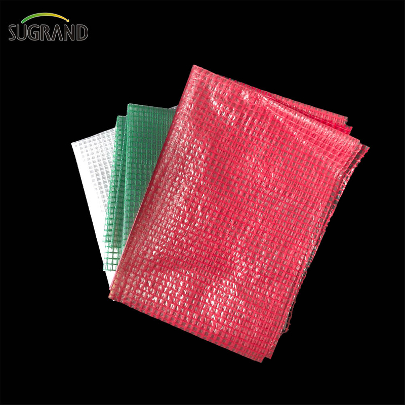 Plastic Scaffold Mesh Sheeting Transparent PE Tarpaulin from China ...