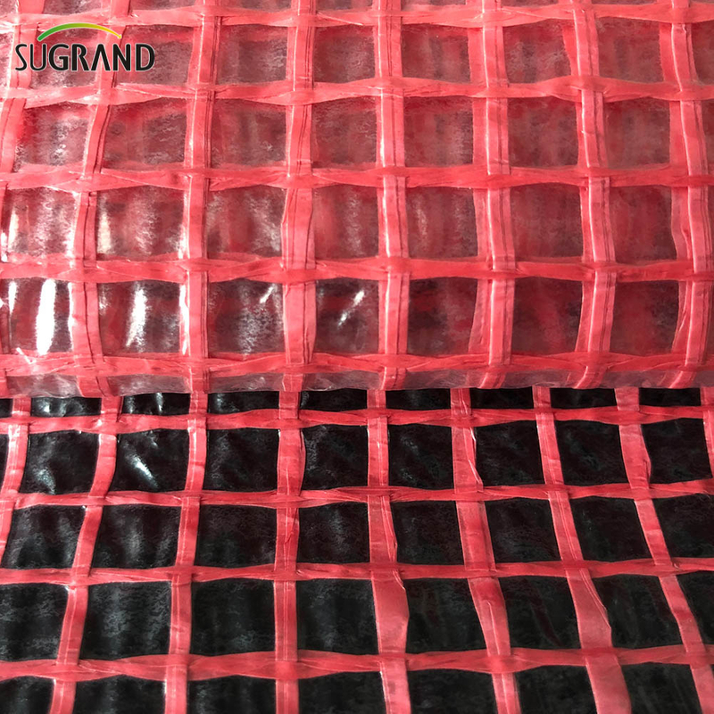 Plastic Scaffold Mesh Sheeting Transparent PE Tarpaulin from China ...
