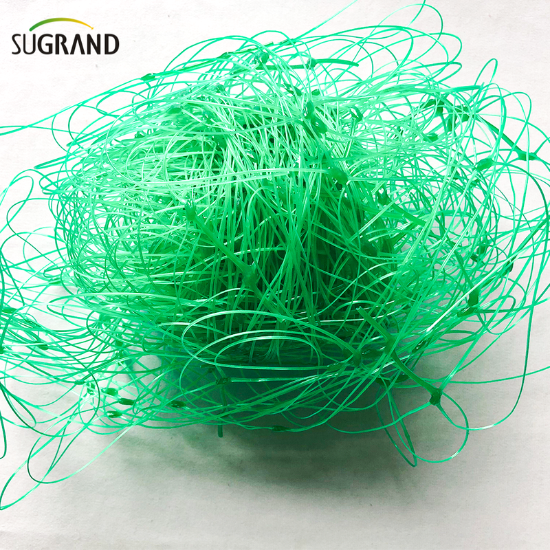 Garden Green White Balck Trellis Plant Climbing Support Netting ...