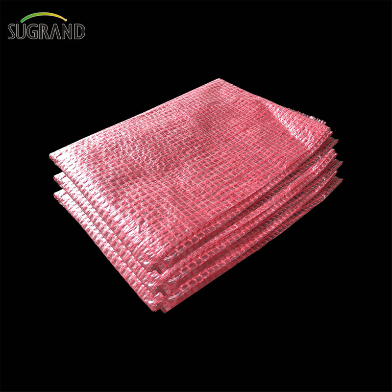 Plastic Scaffold Mesh Sheeting Transparent PE Tarpaulin from China ...